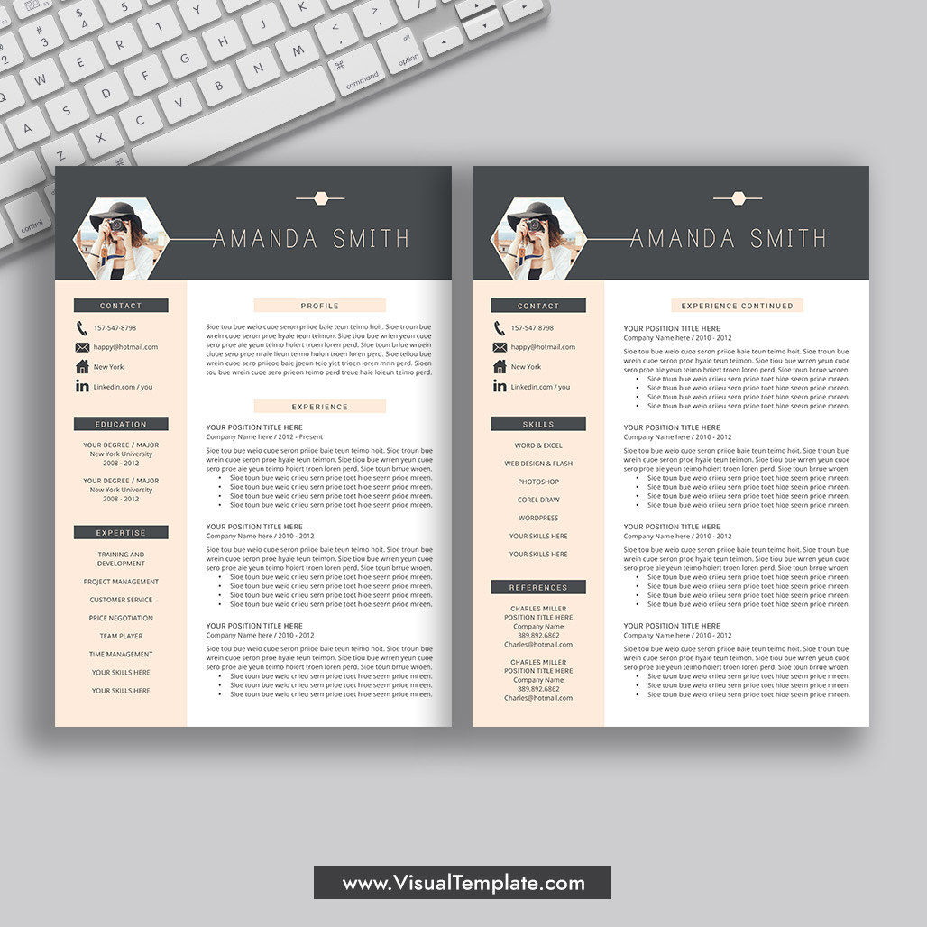 2023 2024 Pre Formatted Resume Template With Resume Icons Fonts And 