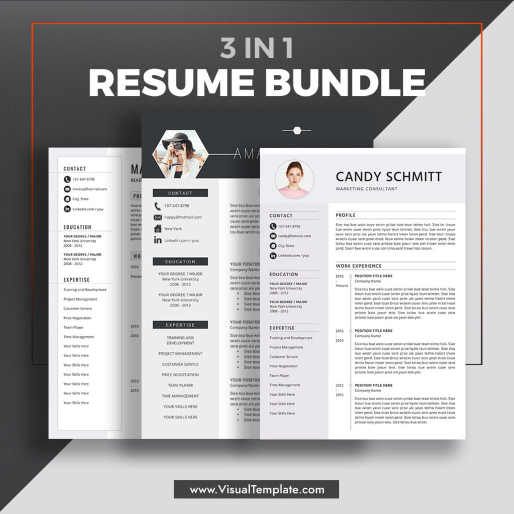 2025-2026 Pre-Formatted Resume Bundle with Resume Icons, Fonts and ...