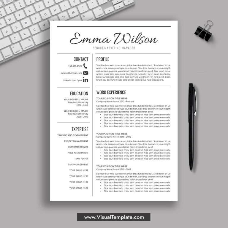 Modern Microsoft Word Resume Templates Fonts Polarjoker